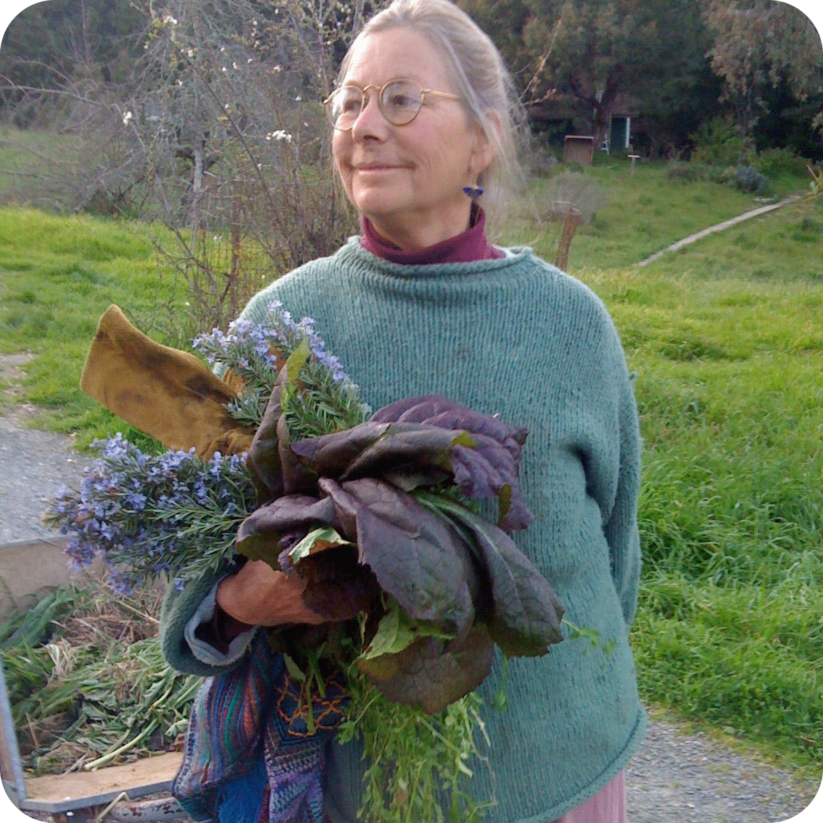 Greenshop - Natural Organic Sustainable and Regenerative Products